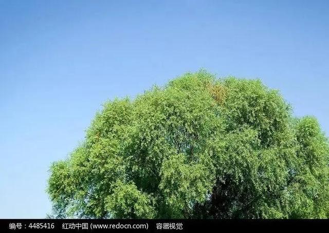 Interestingly said Huaiqing dialect (one hundred and sixty-six) "Puleng ...