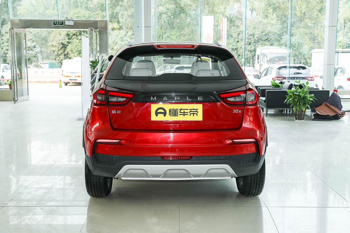 Ruilan Maple Leaf 30X, the total power of the motor is 70kW, and the ...