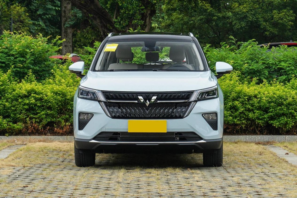 Going home to buy a car during the Chinese New Year, let's learn more ...