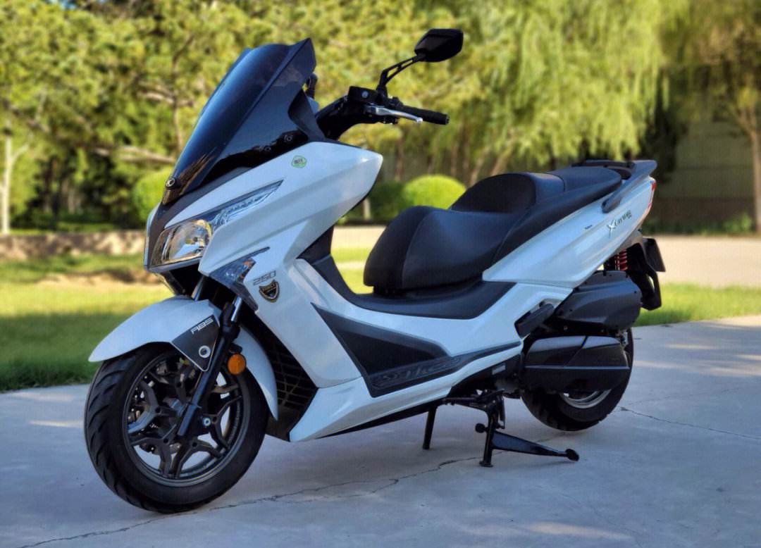 GW250, Gwangyang Rowing 250, CT250, how to choose? - iNEWS