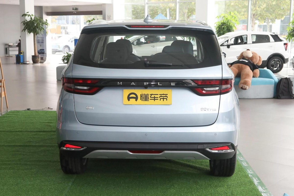 Ruilan Maple Leaf 80v PRO, fast charge for 0.5 hours, pure electric ...