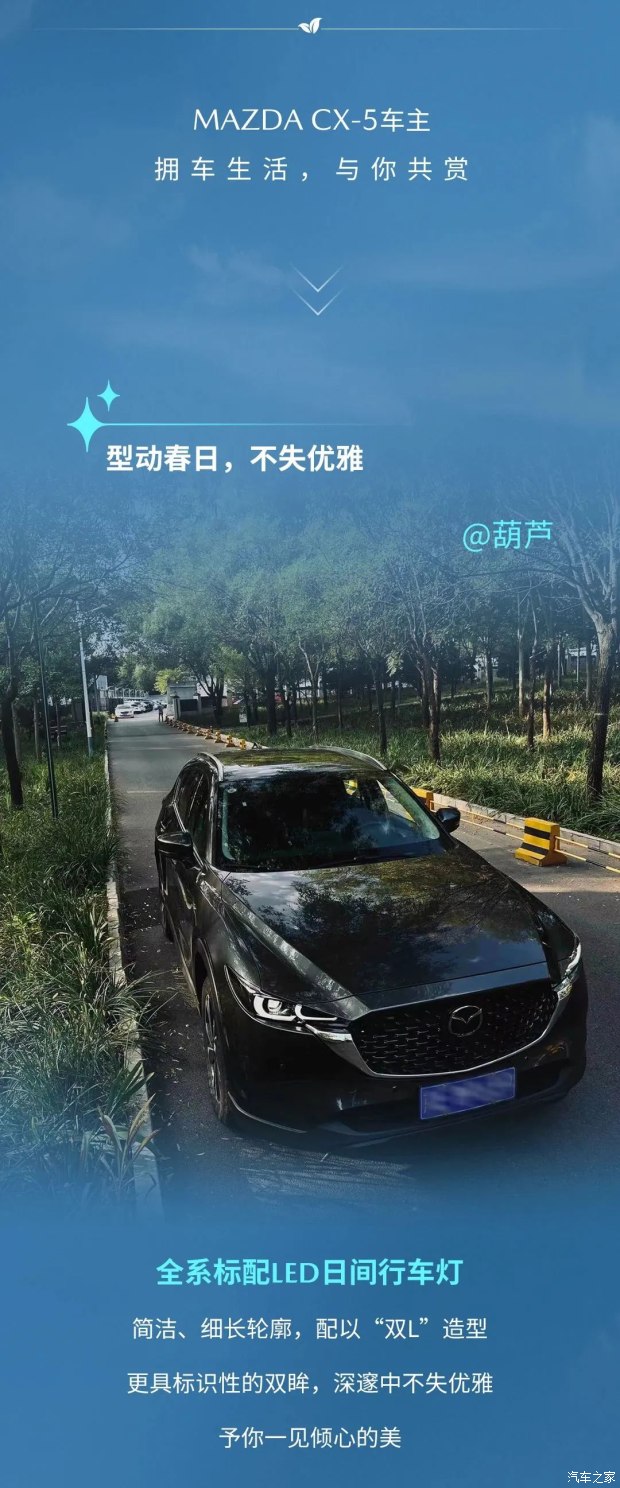 Driving Encounter MAZDA CX-5 Life Illustrated Book - iMedia