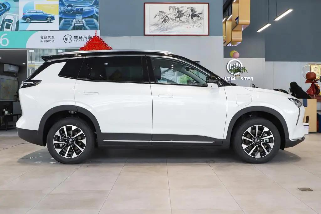 Early access to the real car experience!Weimar W6 Ease of Use ...