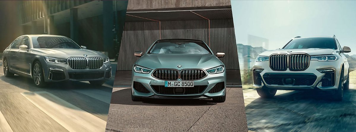 What are the characteristics of the "platform" used by BMW cars to see ...