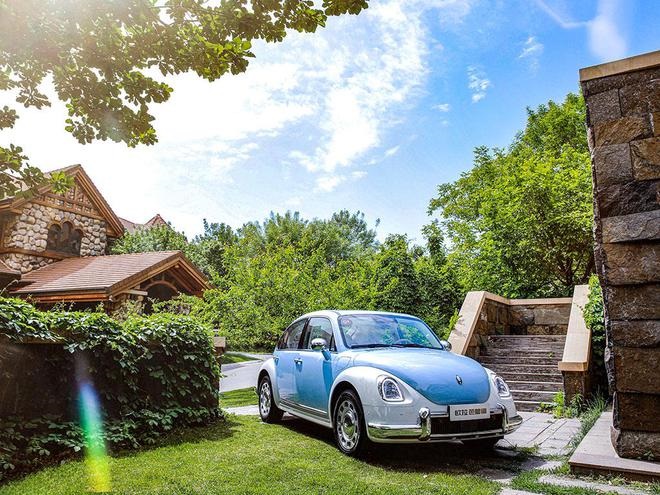 Wisdom and beauty of the ballet cat, the elegant choice of the ...