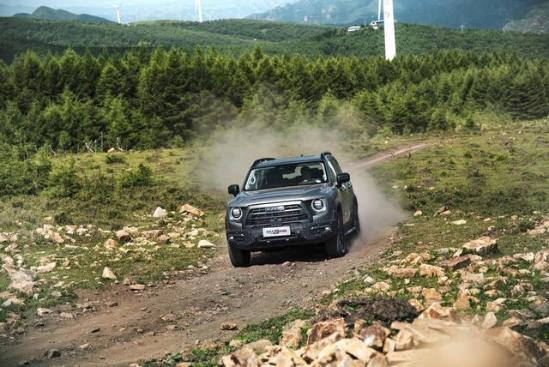 The wild design is full of returns - iNEWS