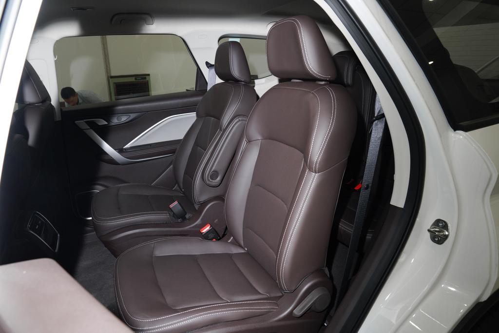 Simple and atmospheric shape, Maple Leaf 80V real car! - iNEWS