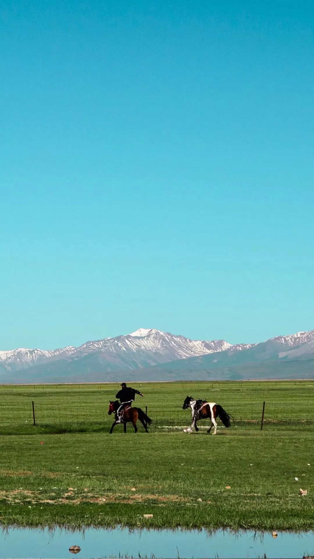 Explore the four seasons and experience the local customs - iNEWS