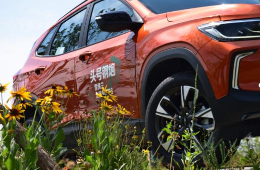 The full moon and golden autumn flowers are full of affection and ...