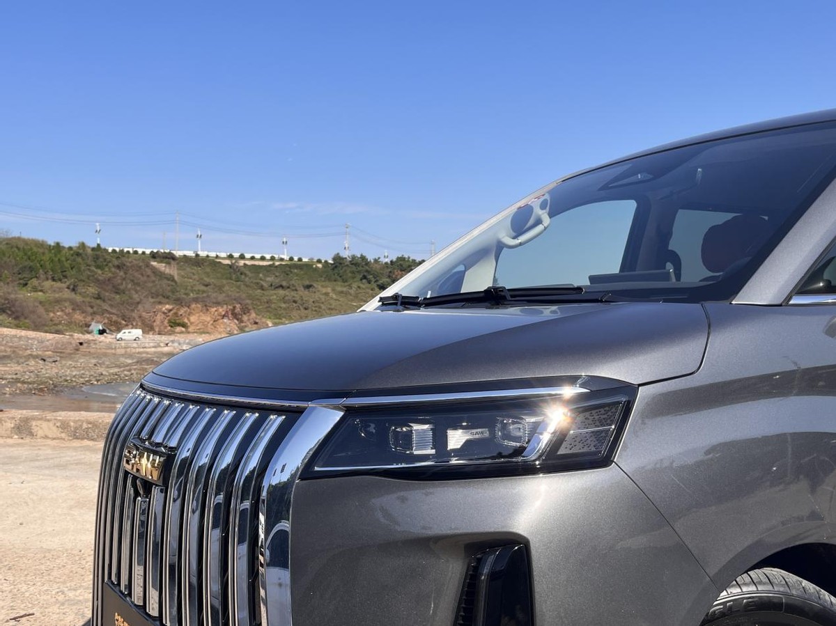 In-depth experience with the Ruisheng M8: A pragmatic MPV embodying a ...