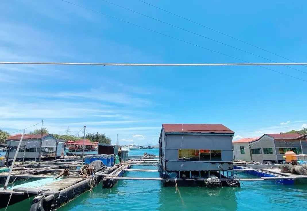 Take you to experience the Danjia culture of "village on the sea" - iNEWS