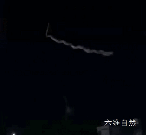 A 4-meter reticulated python in the Philippines climbed an electric ...