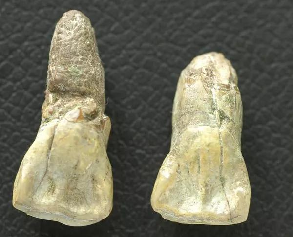 Primitive group period of primitive society - iNEWS