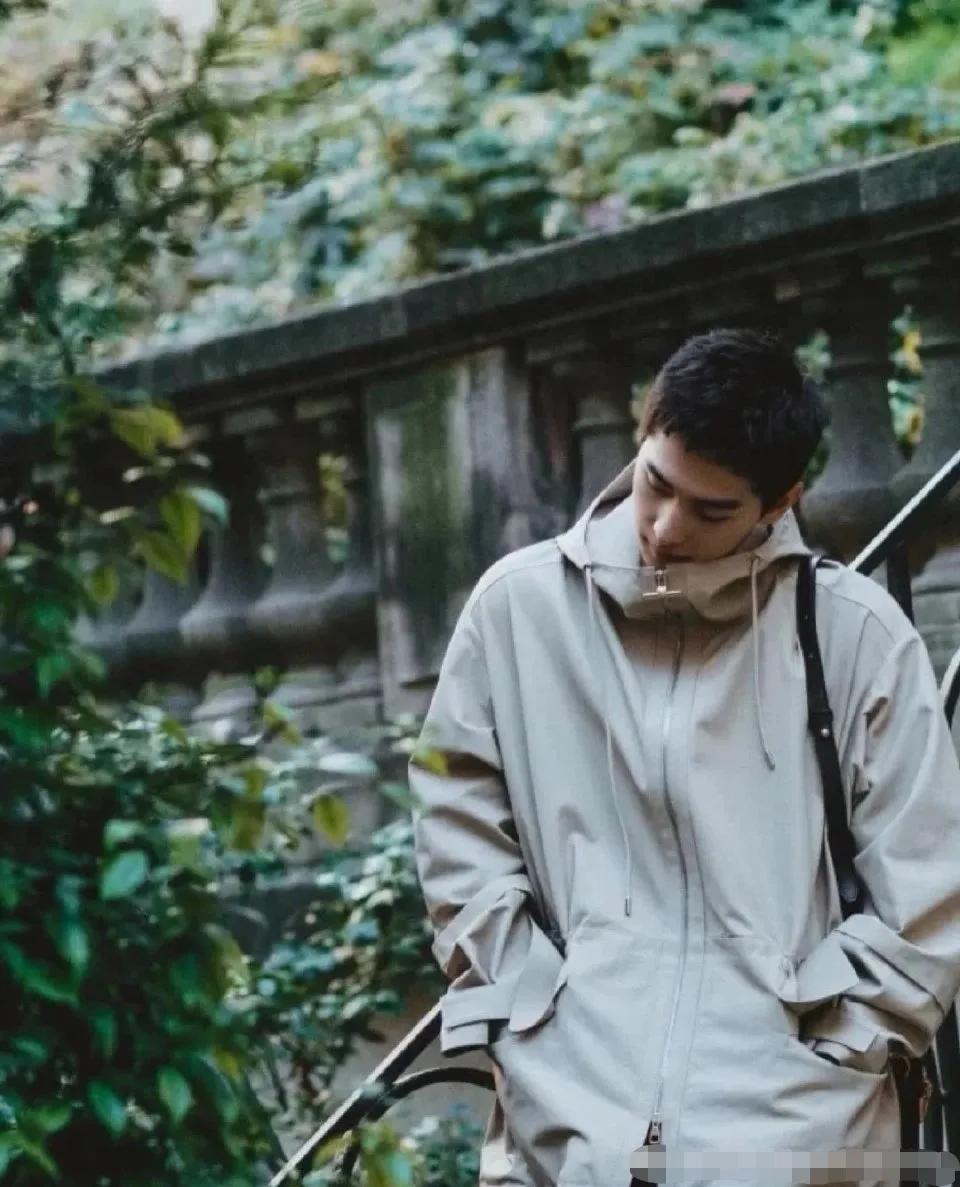 Xiao Zhan Yang Mi Yang Yang Gong Jun Jay Chou Ren Jialun Li Qin Zhang ...