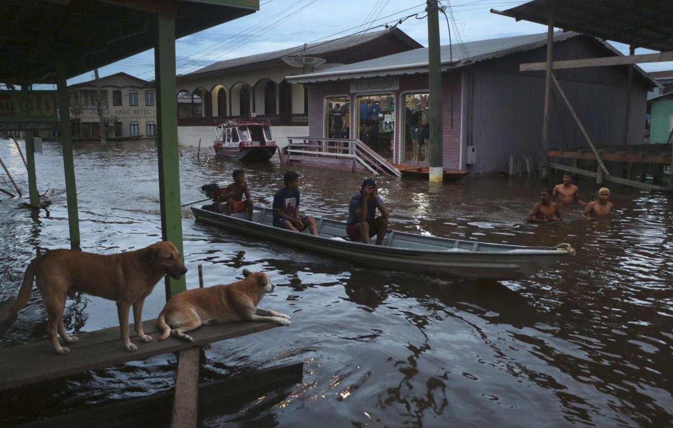 A worldwide problem?Why hasn't a bridge dared to cross the Amazon River ...