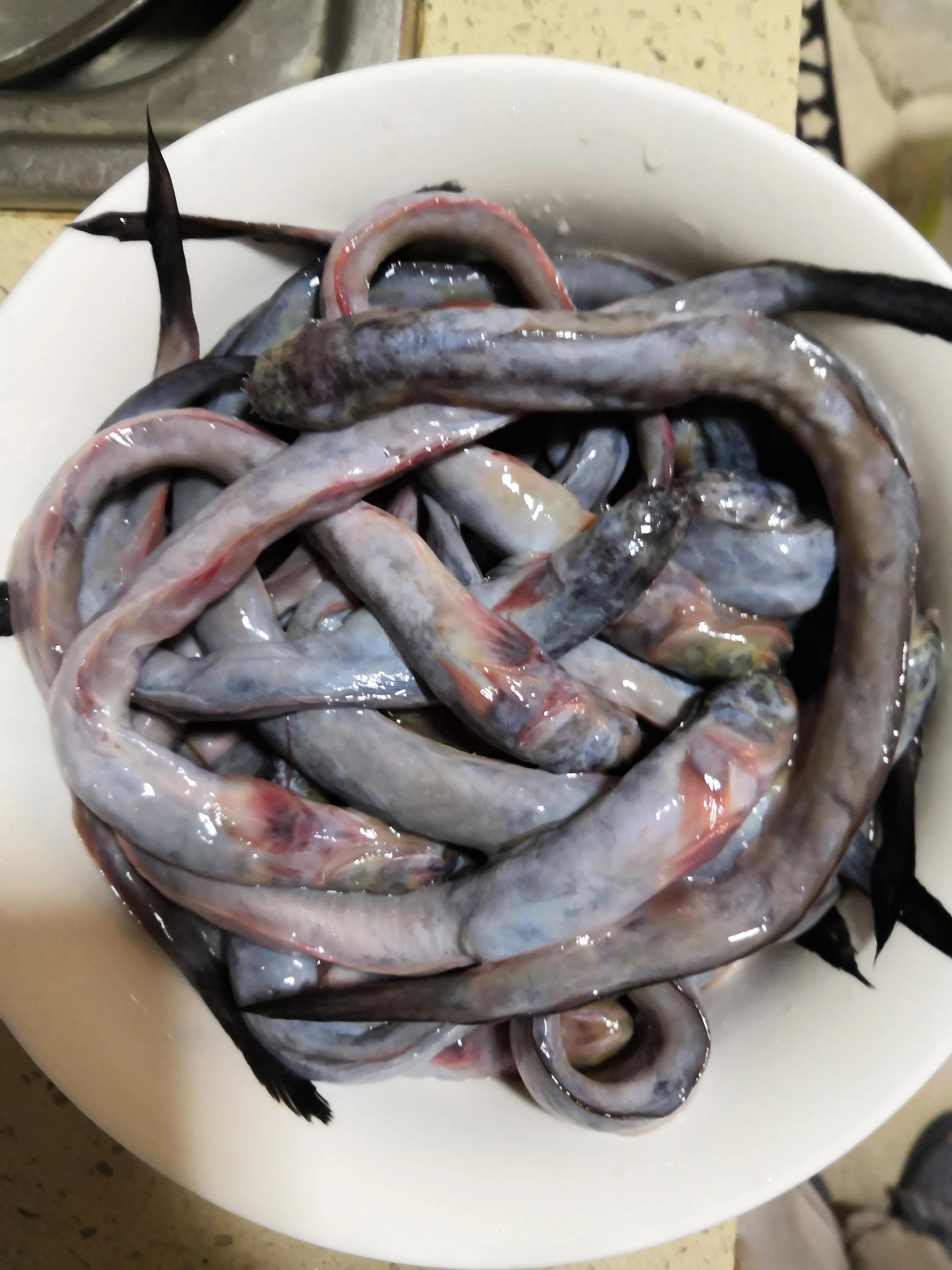 Jinzhou Dialect: Monkey Fish - iNEWS