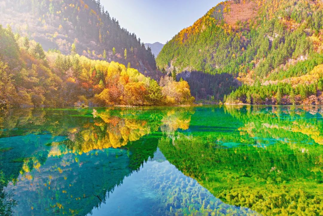 The 10 most beautiful autumn poems - iNEWS