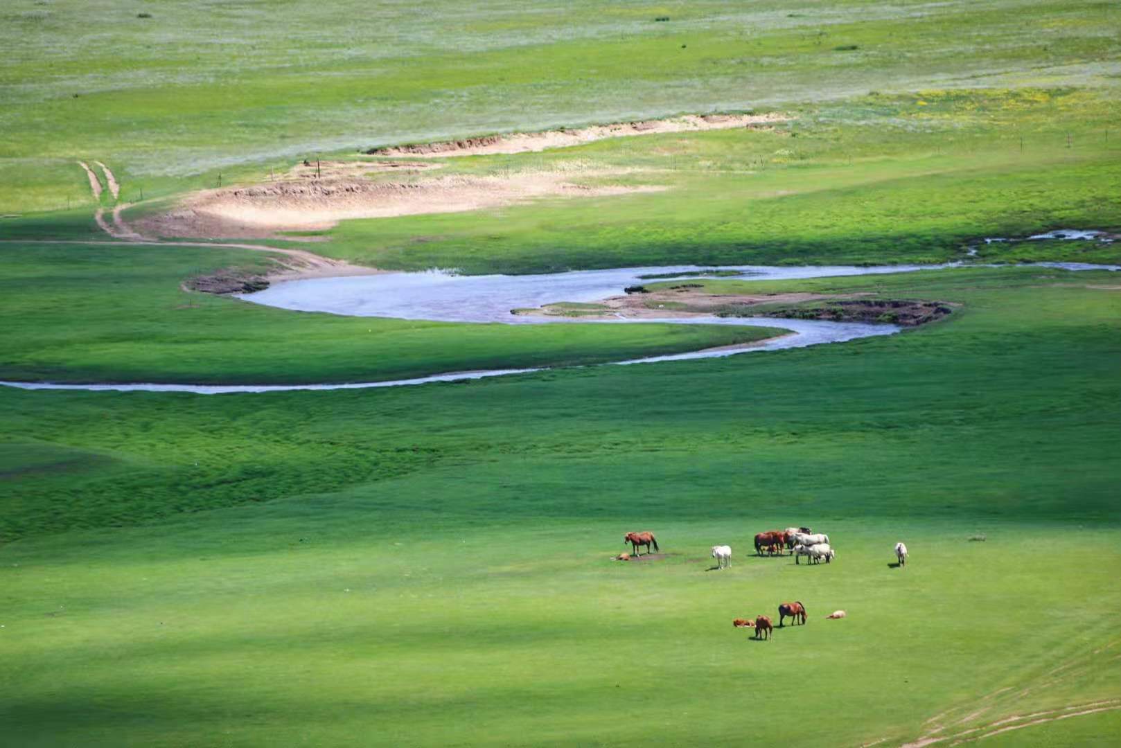 Wonderful summer, one of the four grasslands in the world, the best ...