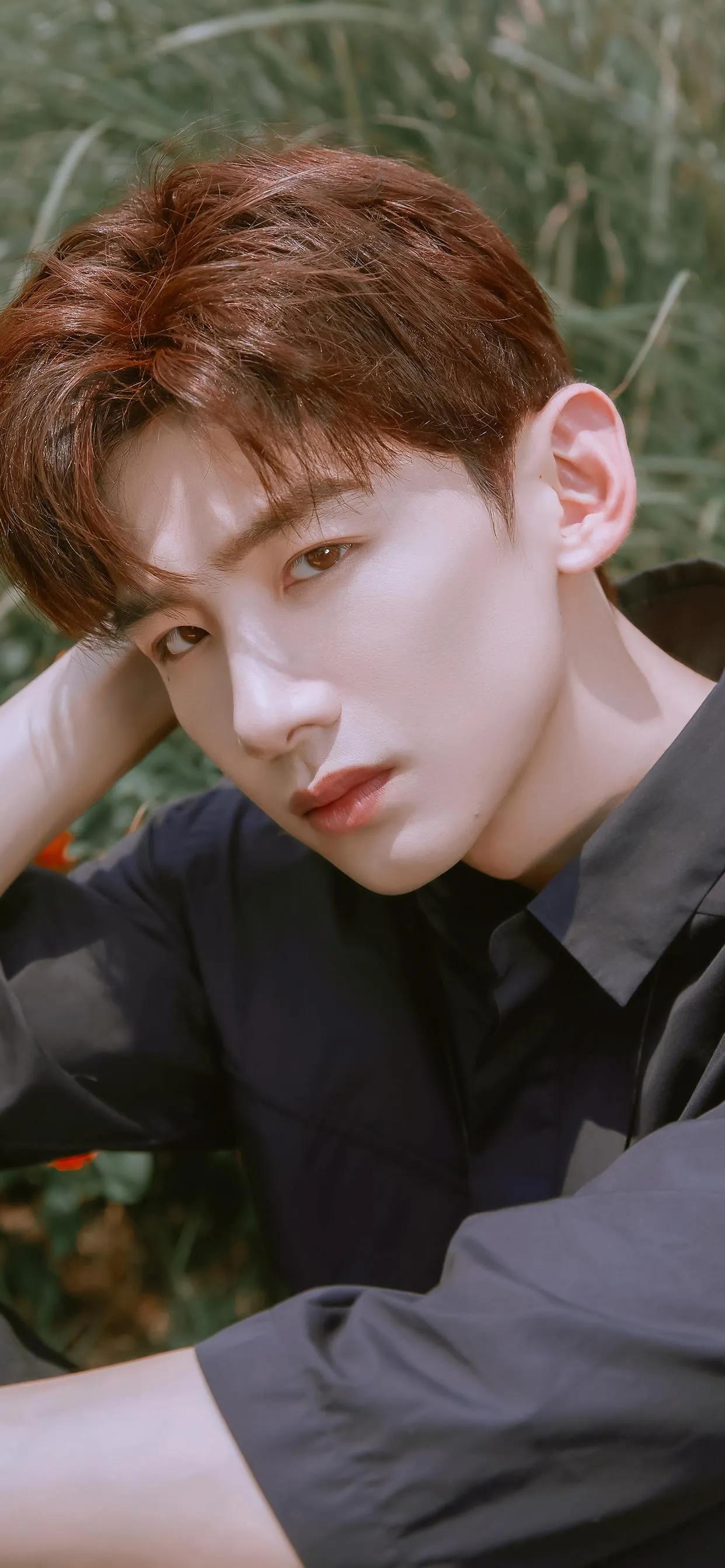 Star series wallpaper ~ Bai Jingting - iMedia