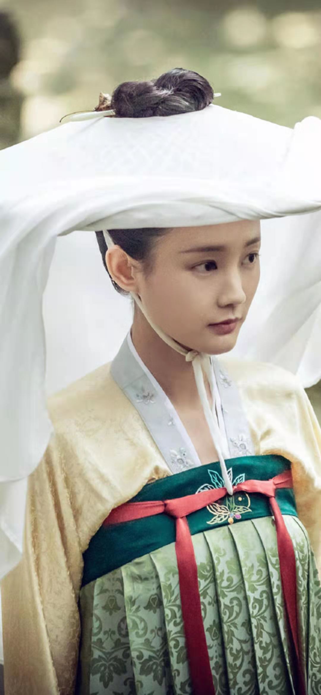 Why did the Xiongnu marry the princess to Zhang Qian and Su Wu? Why is ...