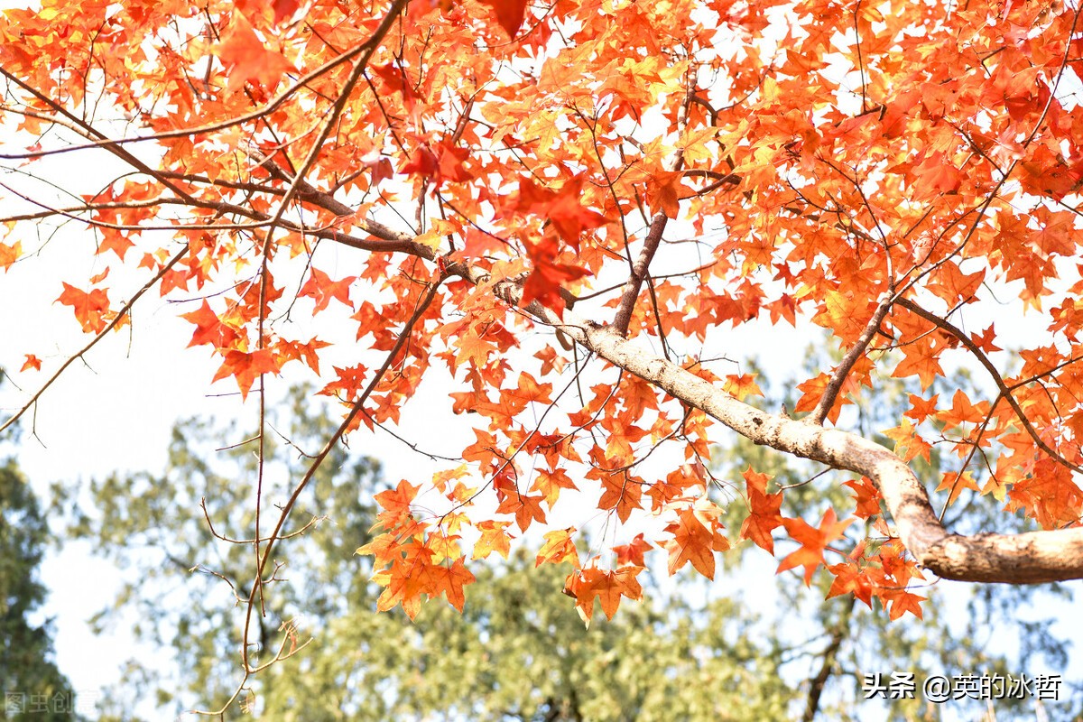 A surname that is not recorded in a hundred family surnames, the first ...