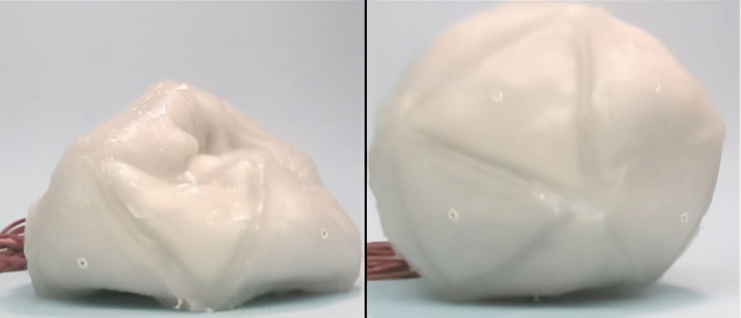 Software robot evolution: gentle and scared - iNEWS