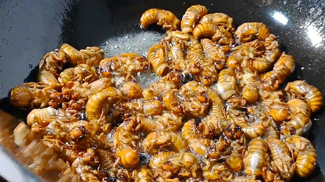 Deep-fried golden cicadas, you will be wrong if you fry them first. I ...