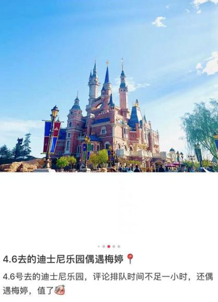 Mei Ting's family of four rarely showed up, dressed plainly and without ...