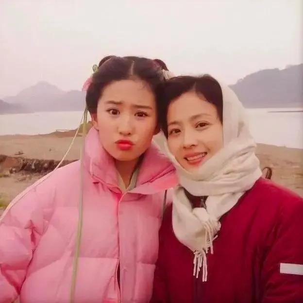 How much did Liu Xiaoli give for her daughter Liu Yifei? - iMedia