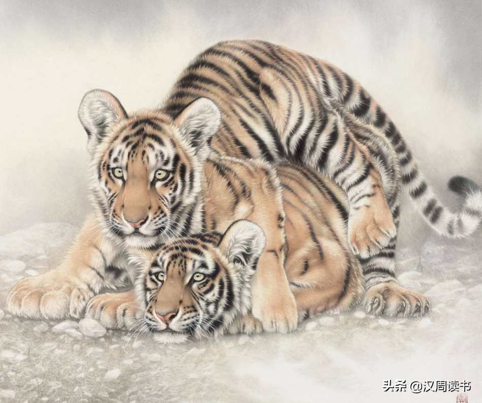 A story from the Qing Dynasty: The Story of the Righteous Tiger - iNEWS