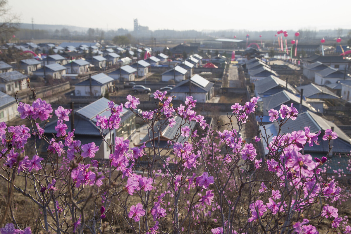 The beauty of Yanbian Korean Autonomous Prefecture - iNEWS