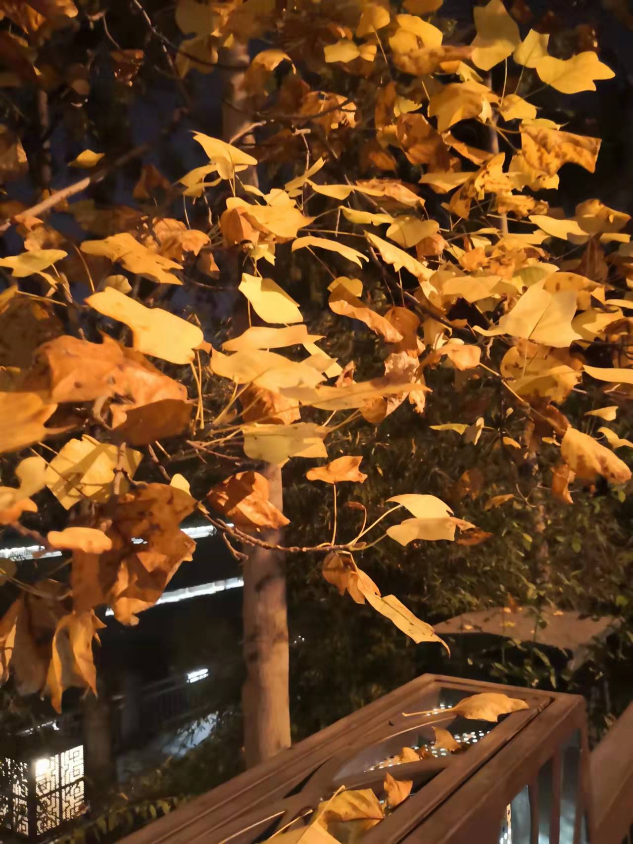 Waves (nine poems outside of poems) Zhang Xingui, Beijing - iNEWS