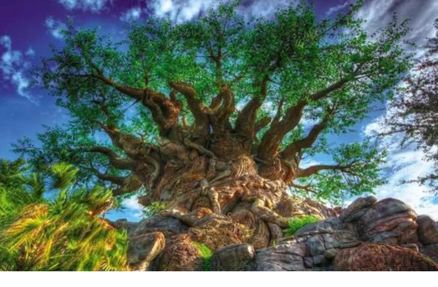 Mythical story: Emperor Jundong emperor transforms into the sacred tree ...