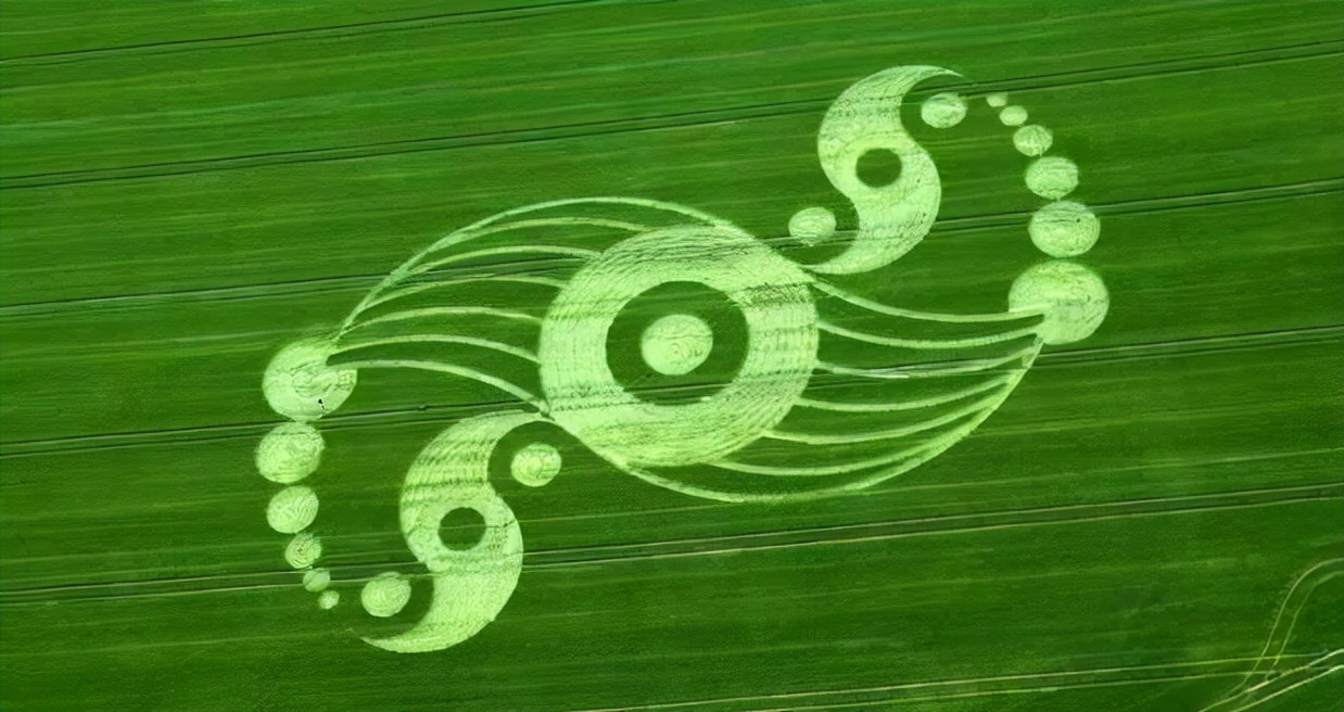 Strange circles in foreign wheat fields are artificial pranks?Or are ...