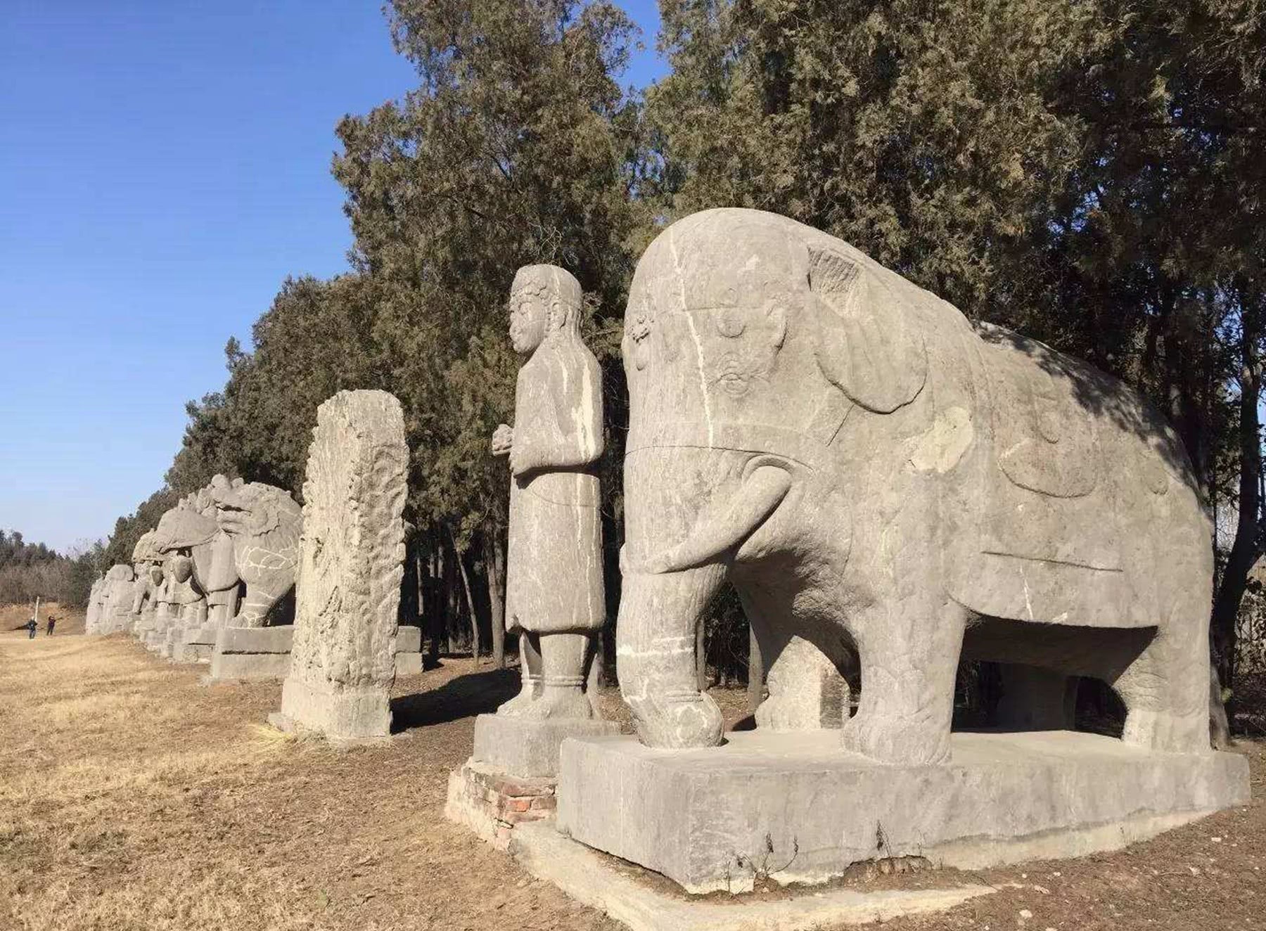 After the archaeological excavation, where did the ancient corpses that ...