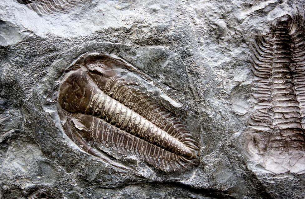 Prehistoric relics, ancient nuclear reactors, all show that the earth ...