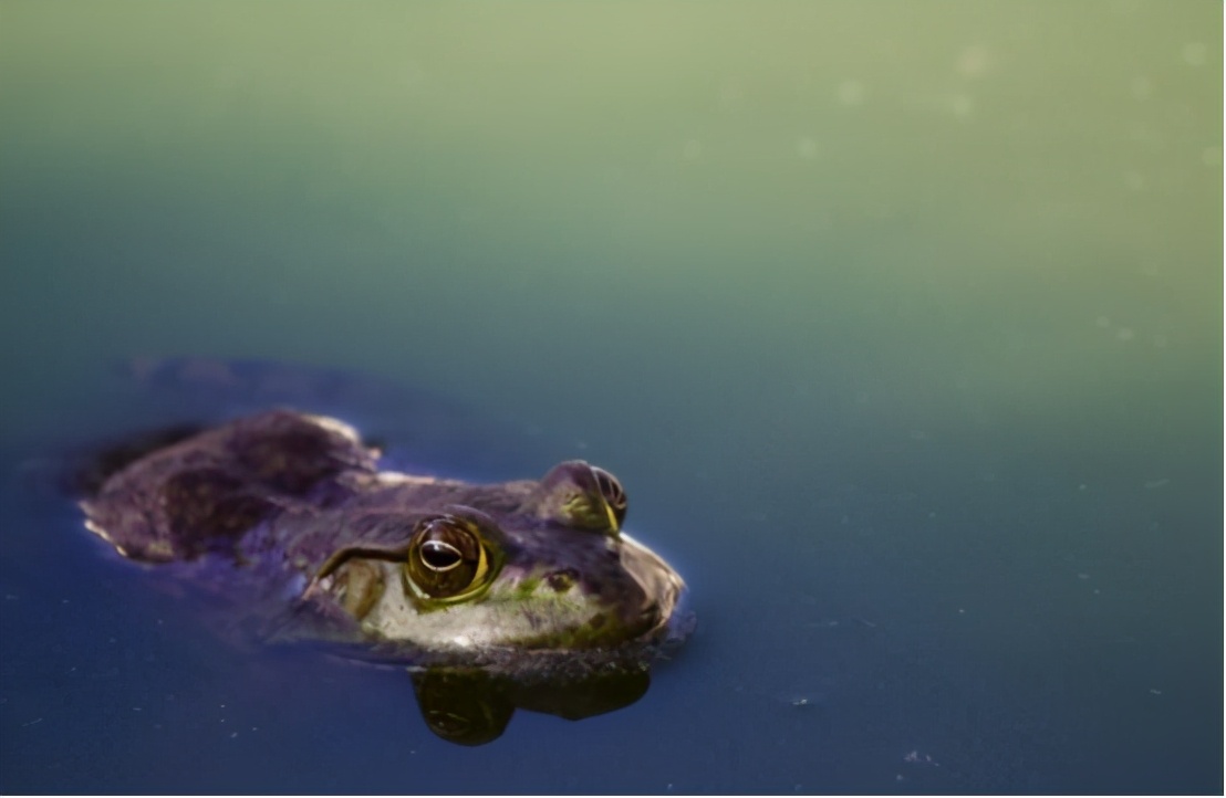 What happens if the human body enters a strong magnetic field ...