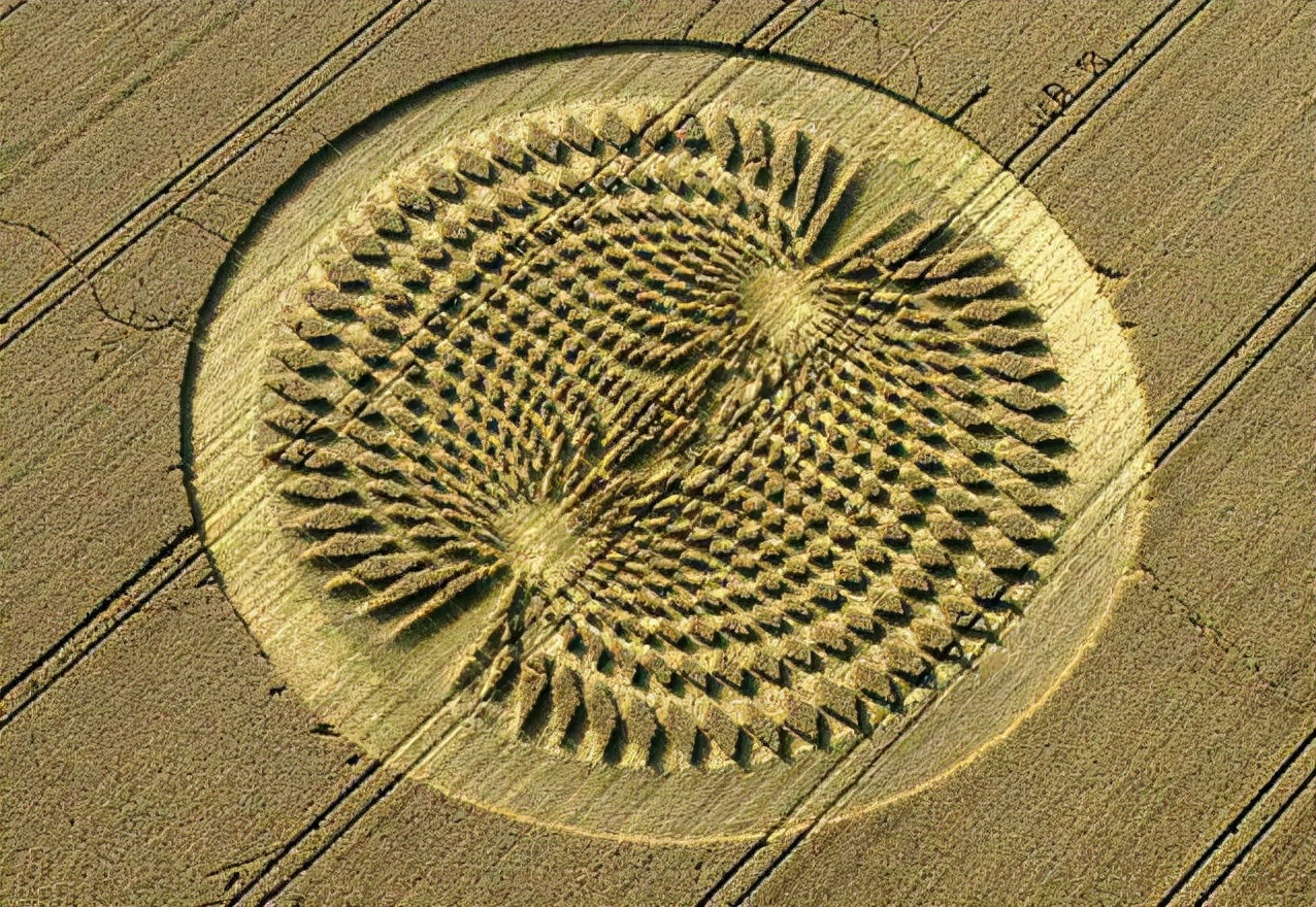 Strange circles in foreign wheat fields are artificial pranks?Or are ...