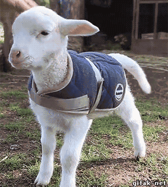 Science fiction can also be "trivial"-Philip Dick is much more than ...