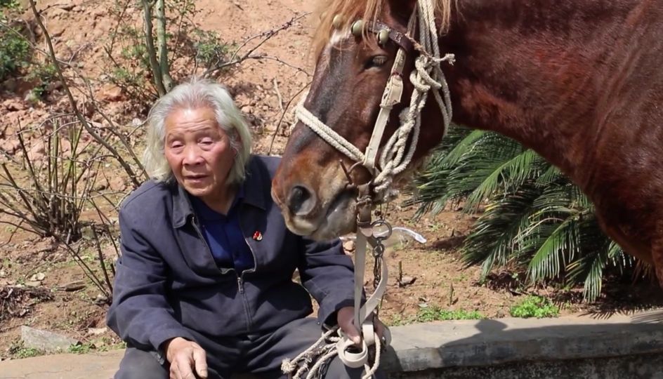 Old man Luo's zoo was moved by this warm feeling to cry - iNEWS