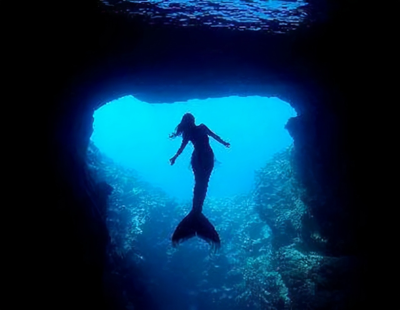 The arrested mermaid tells the truth, can mermaid fat be made into ...