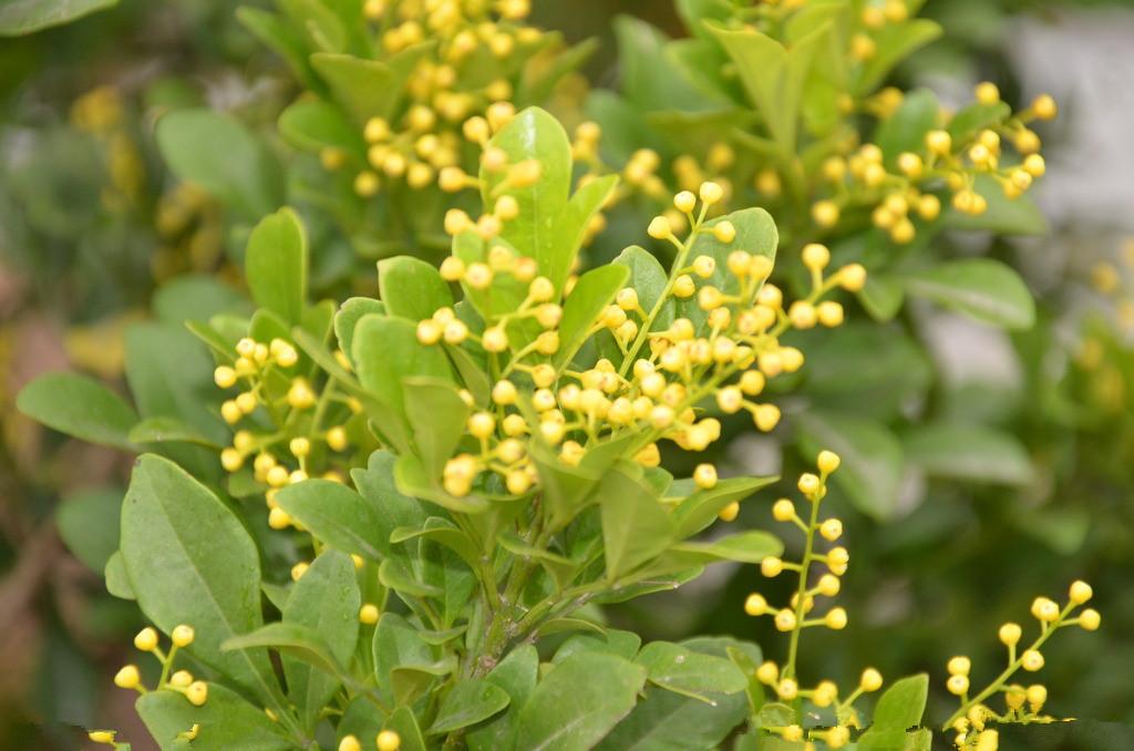 If you want Milan to grow up, these points should be maintained well ...