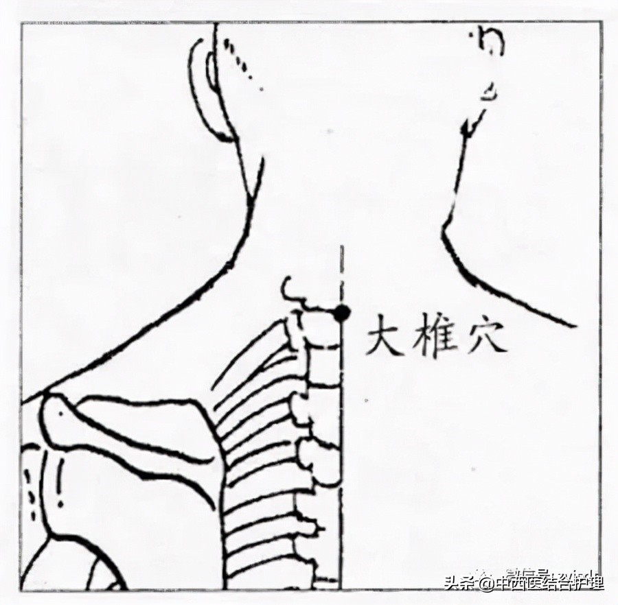 "Acupoint health preservation" Dazhui point, which regulates many ...