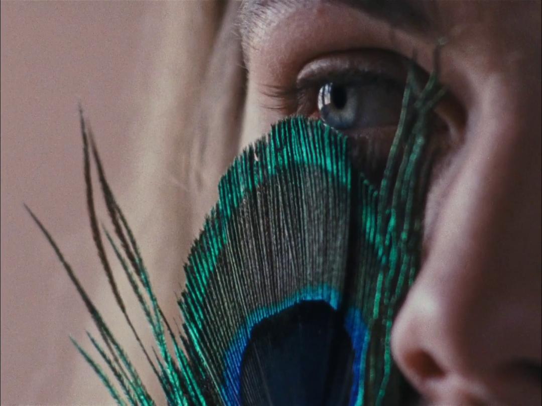 Analysis of the screen movement of "The Metamorphosis of Birds" and the ...