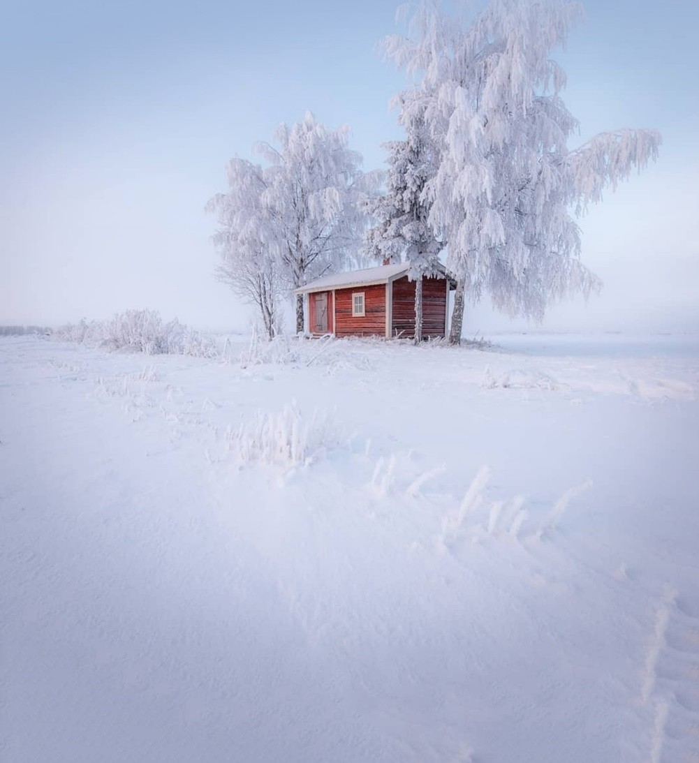 "The Golden Years" Zhu Suosuo: Who can understand the desolation under the fence? - iNEWS