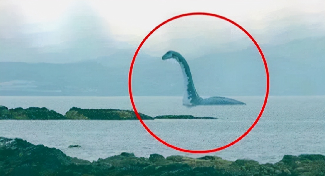 A "water monster" appeared in the Tianchi of Changbai Mountain with a ...