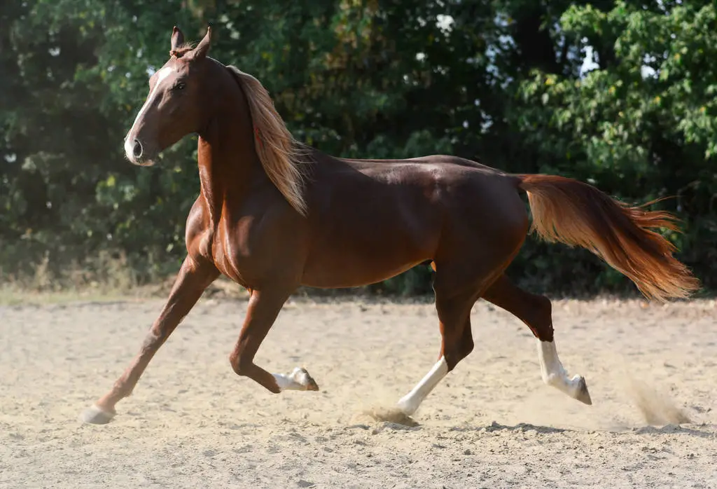 15 wisdoms of Huawei team management - iNEWS