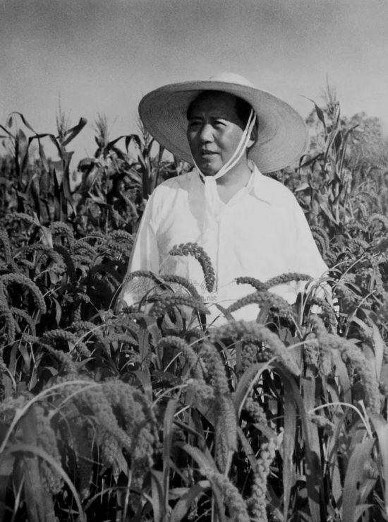 Hou Bo: Mao Zedong's No. 1 full-time photographer, who took thousands ...