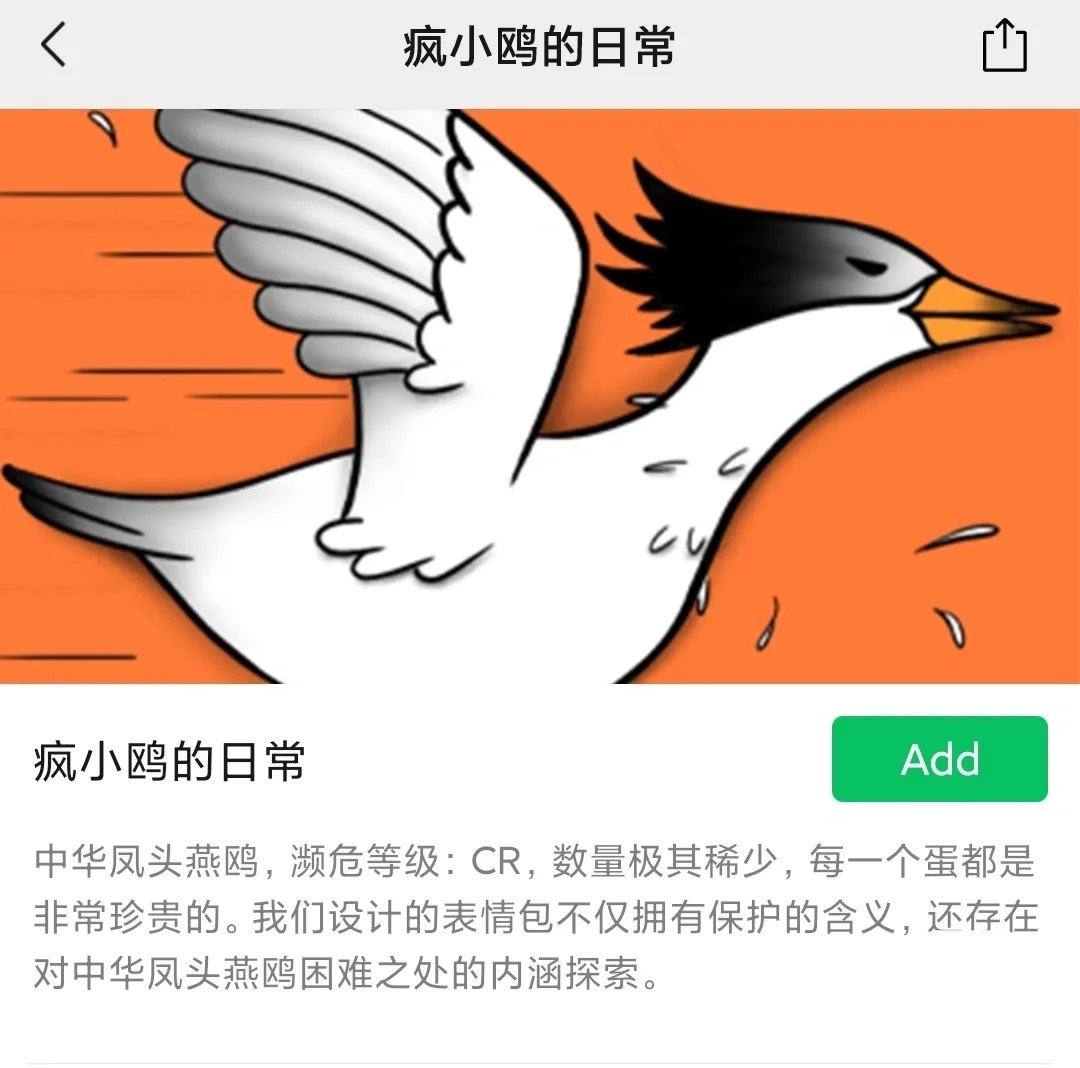 "Mythical Bird" Chinese Crested Tern | 2021 Central European ...