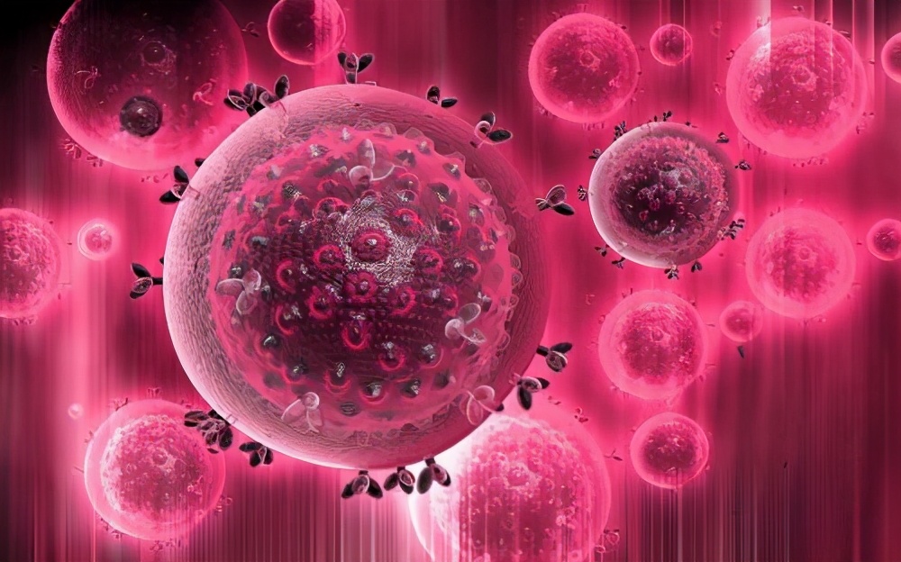 Pandora virus - giant in the virus - iNEWS